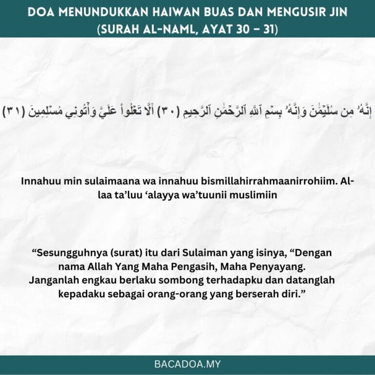 √ Doa Nabi Sulaiman Agar Rezeki Melimpah (Rumi & Maksud)