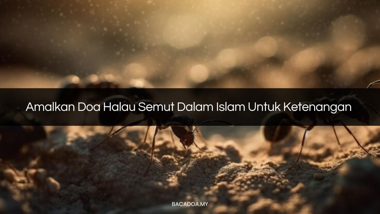 √ Amalkan Doa Halau Semut Dalam Islam Untuk Ketenangan