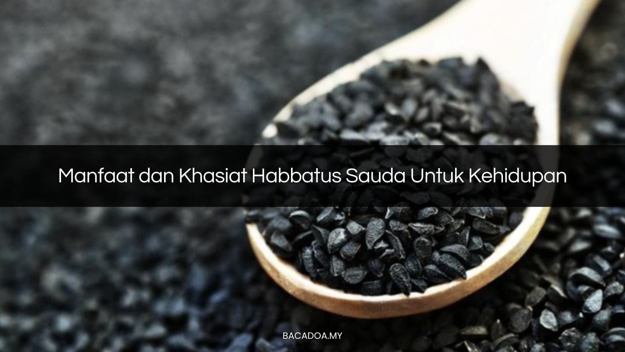 √ Manfaat dan Khasiat Habbatus Sauda Untuk Kehidupan