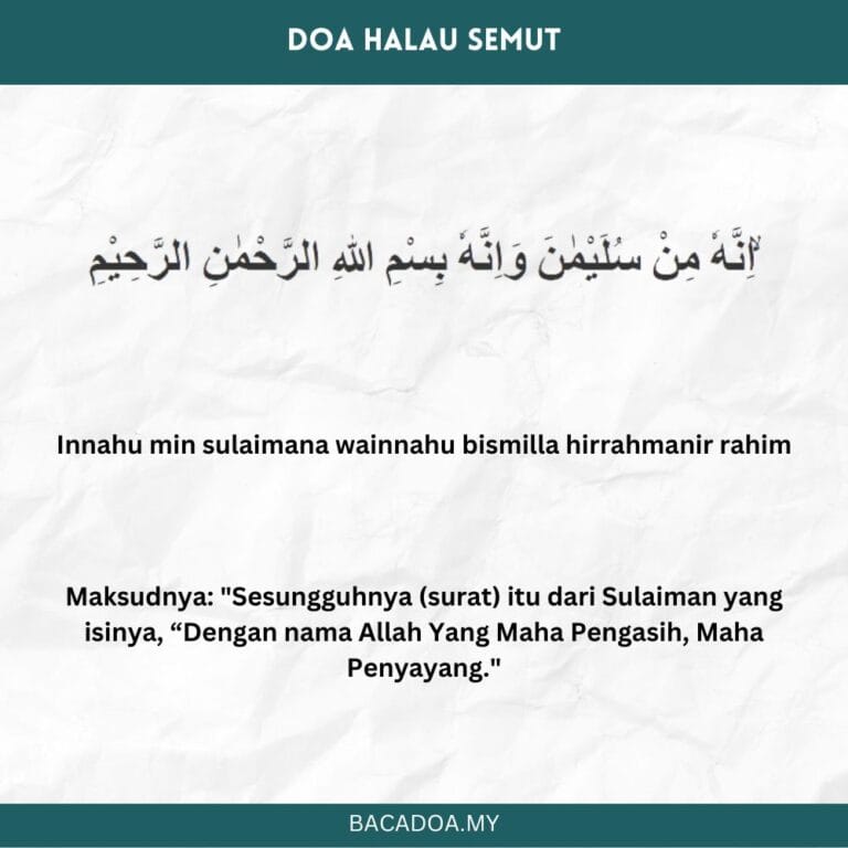 √ Amalkan Doa Halau Semut Dalam Islam Untuk Ketenangan