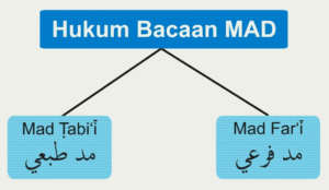 √ Hukum Mad: Pembagian Beserta Contoh Masing-masing