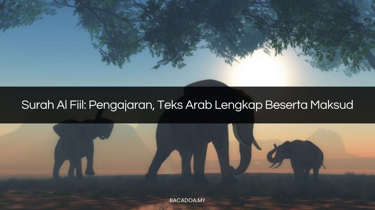 √ Surah Al Fiil: Pengajaran, Teks Arab Lengkap Beserta Maksud